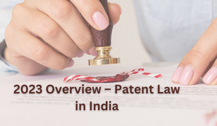 Updates & Insights |Kochhar & Co